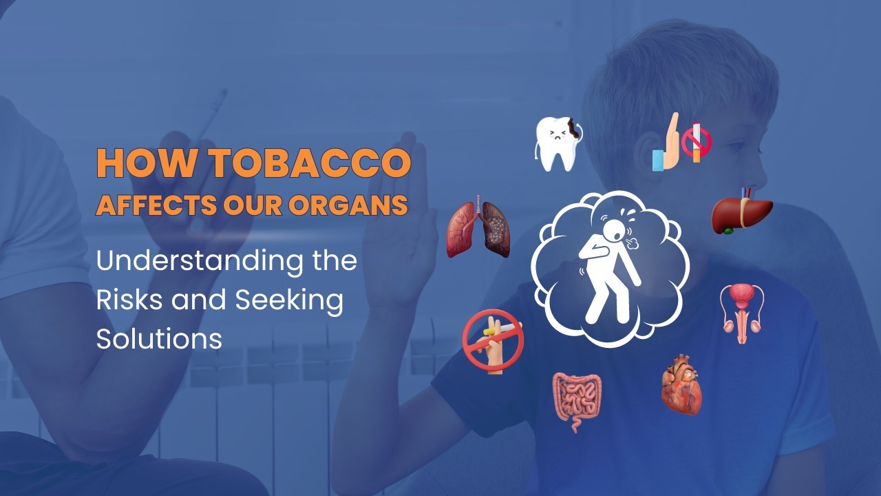 How Tobacco Affects Our Organs?